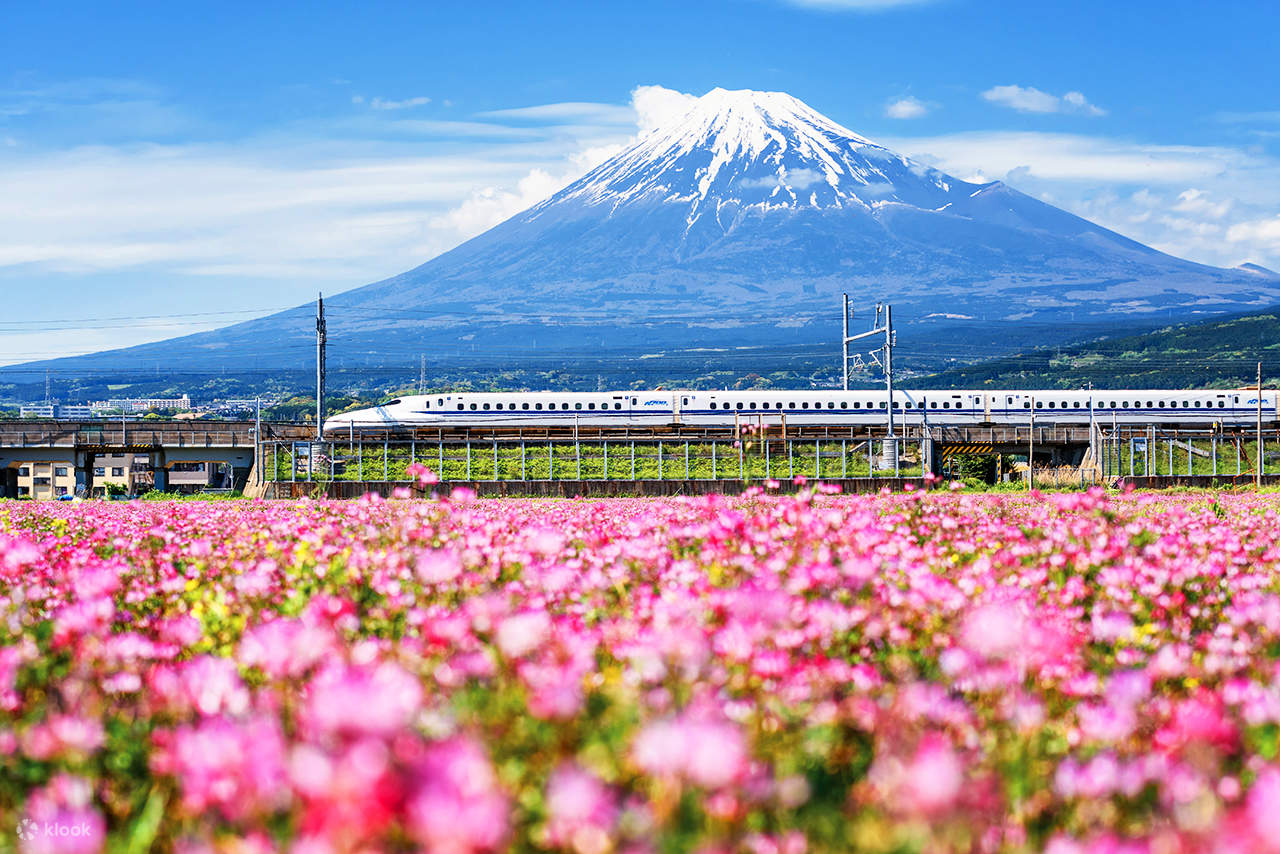 [Mount Fuji & Hakone | Experience the "Bullet Train"] One-Day Tour from ...